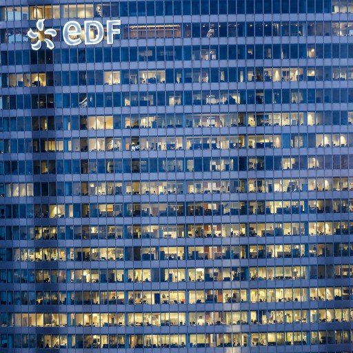 Powering India's energy transition | EDF India